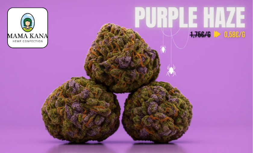 Mama Kana Review: Best CBD Flowers & Oils for Health! (2026)